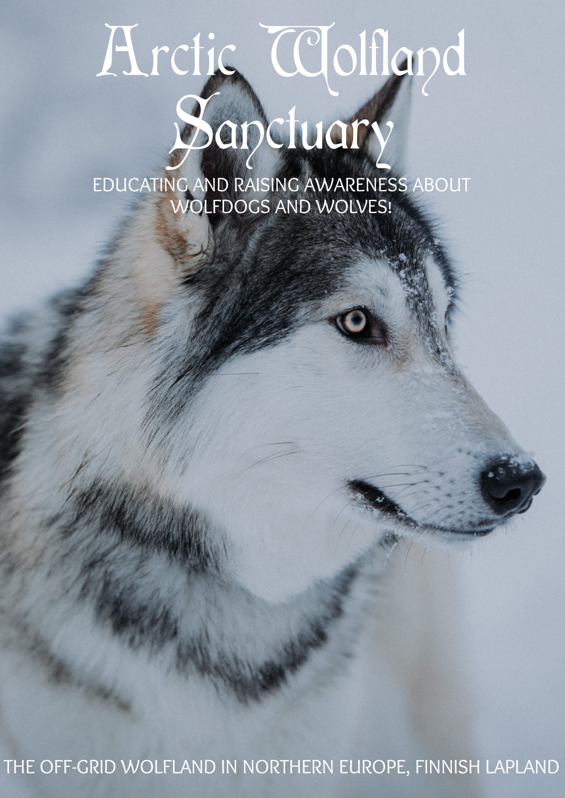 Brochure - Arctic Wolfland Sanctuary